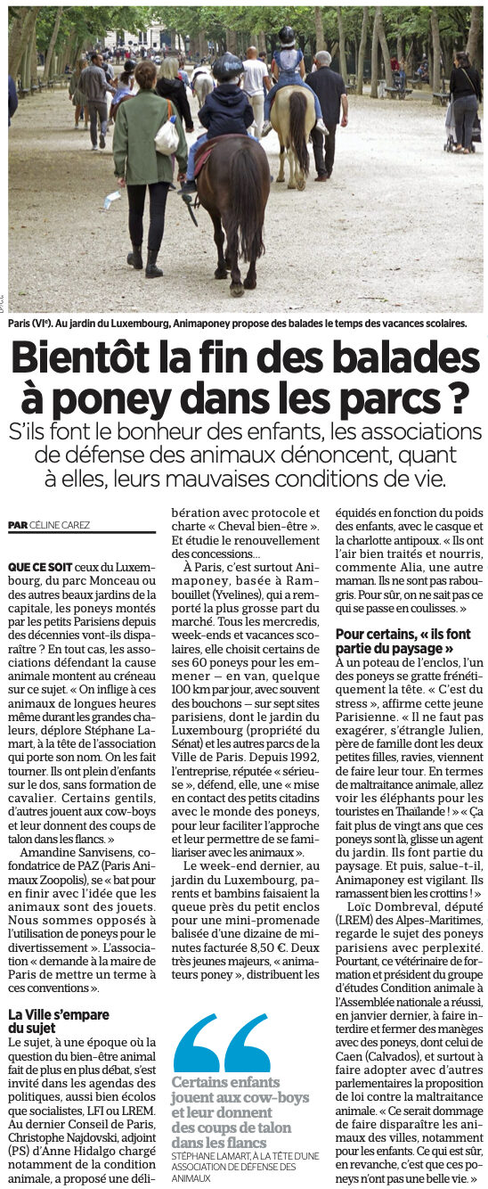 Pétition pour la fin des balades à poney - PAZ