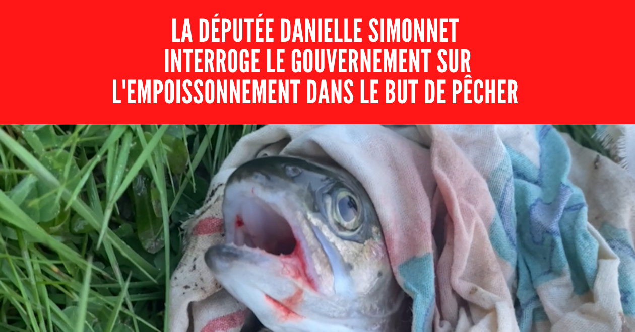 La Députée Danielle Simonnet interroge le gouvernement sur l ...