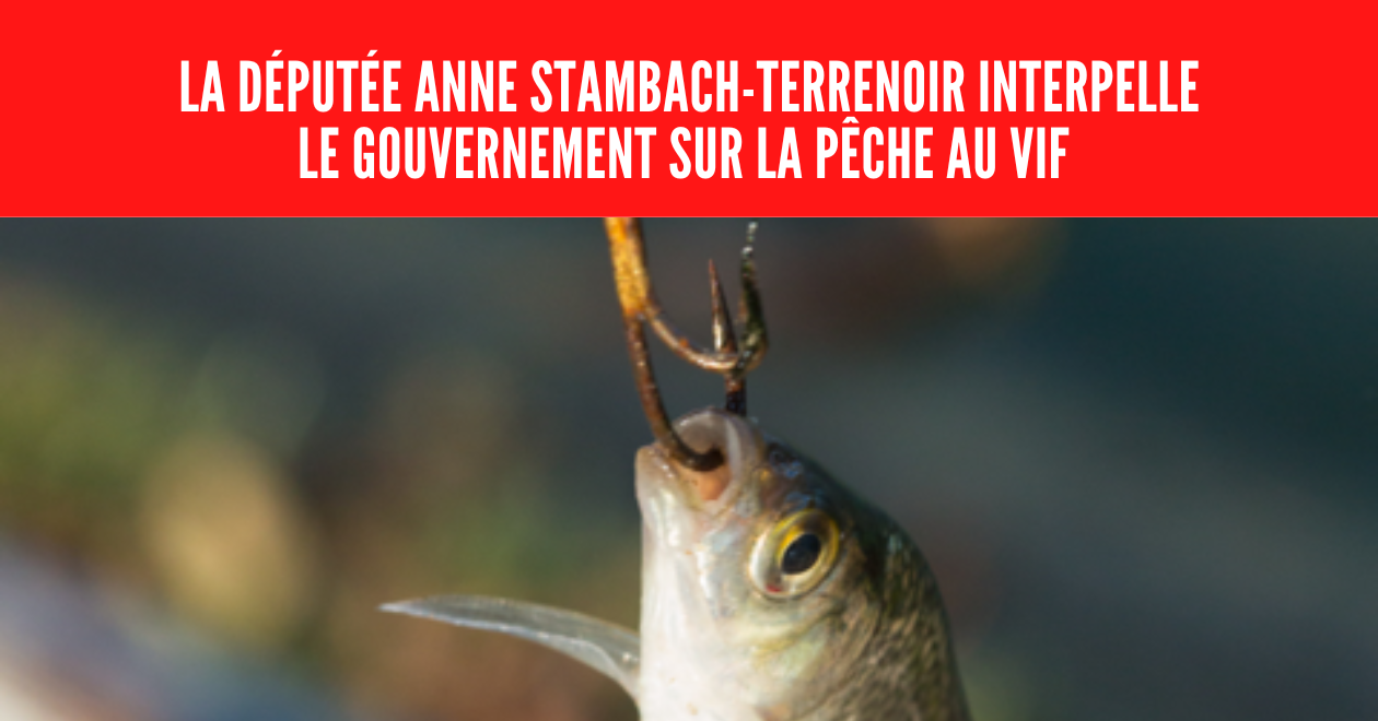 La députée Anne Stambach-Terrenoir interpelle le gouvernement sur la ...