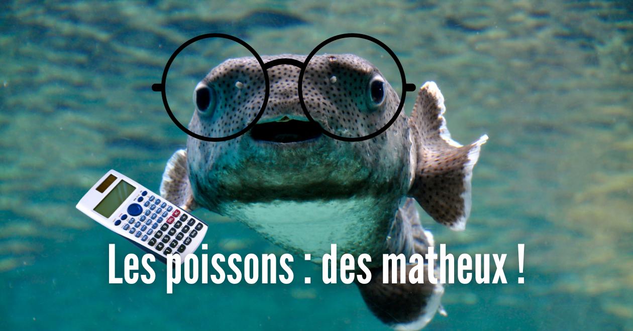 Les poissons : des matheux ! - PAZ